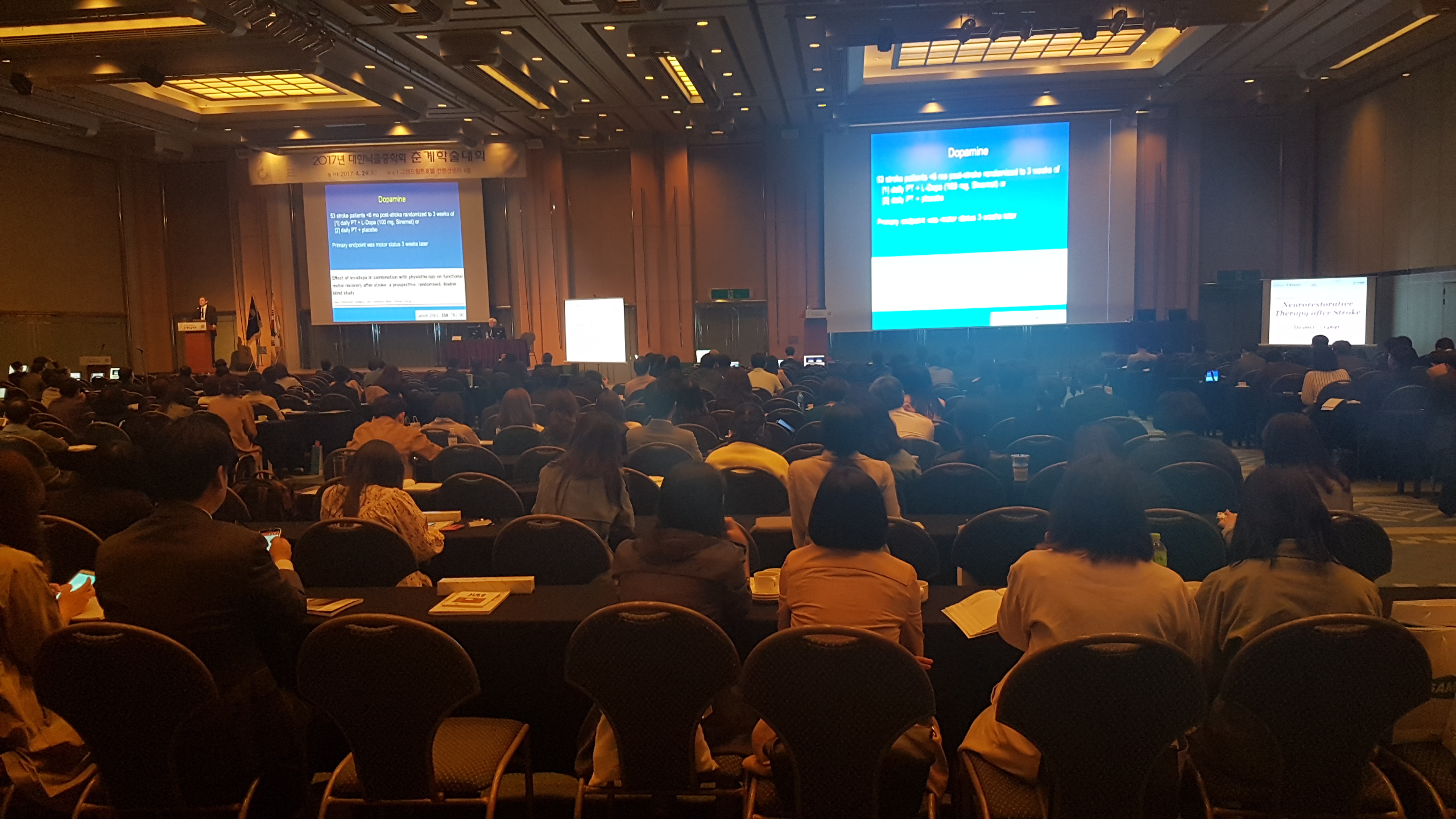 2017 Korean Stroke Society Spring Semminar - ARA SYSTEM